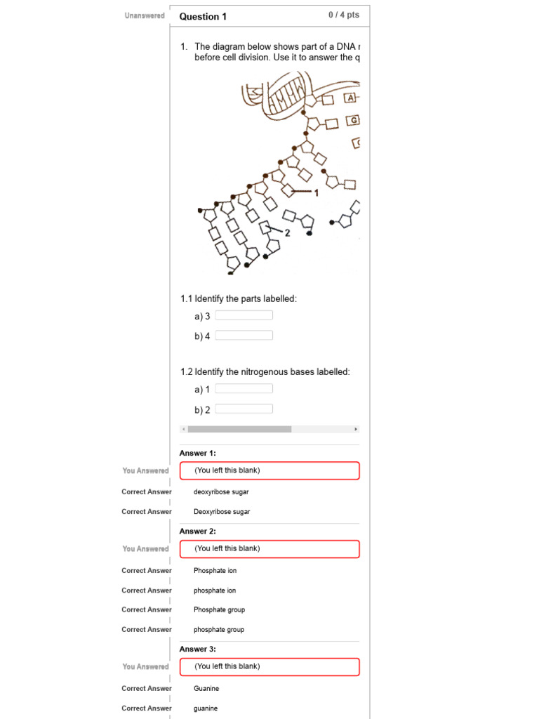 1-Dna and Rna 10 - Quiz - Life Sciences 12e Zoom 1 004 Mmoa | PDF ...