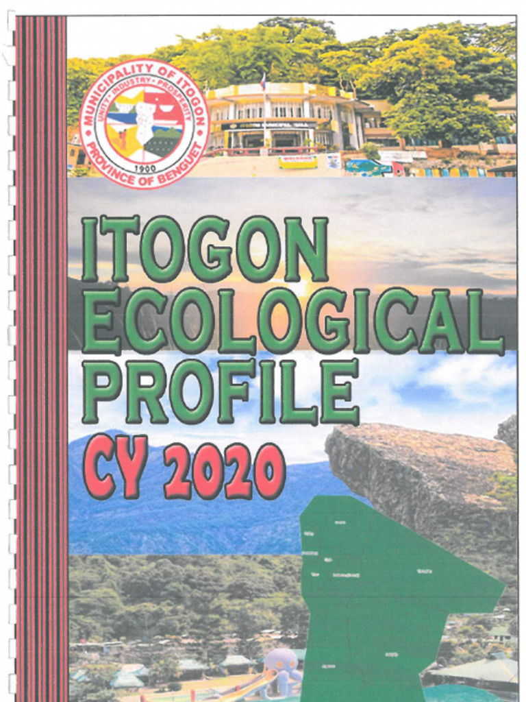 Itogon Profile | PDF