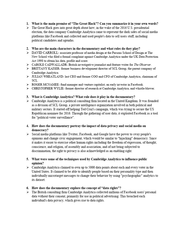 Movie Report The Great Hack | PDF