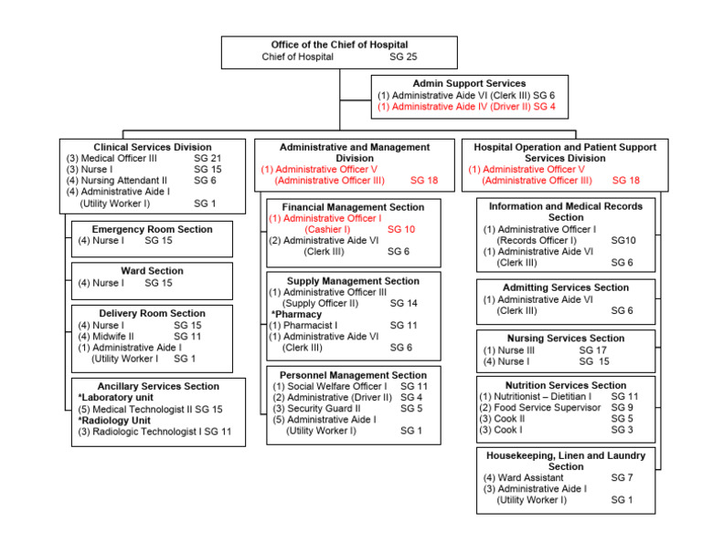 Hospital Departments and Staff Positions | PDF | Hospital | Nursing