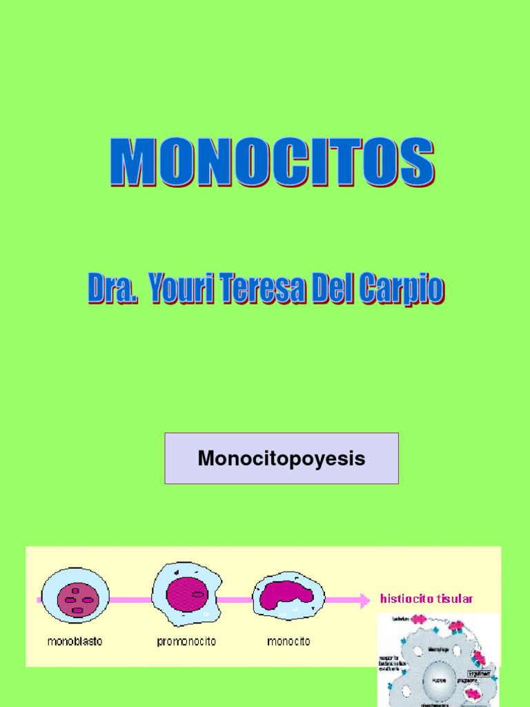 Monocitos | PDF | Sistema complementario | Macrófago