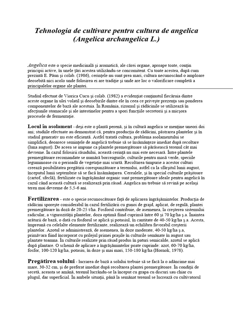Tehnologia de Cultivare Pentru Cultura de Angelica (Angelica ...
