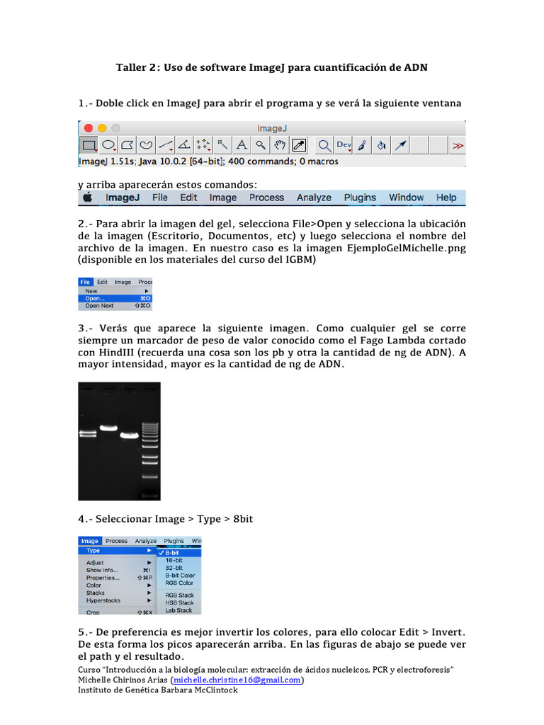 Taller 2 Software para Cuantificacion de ADN | Descargar gratis PDF | Electroforesis | Reacción ...