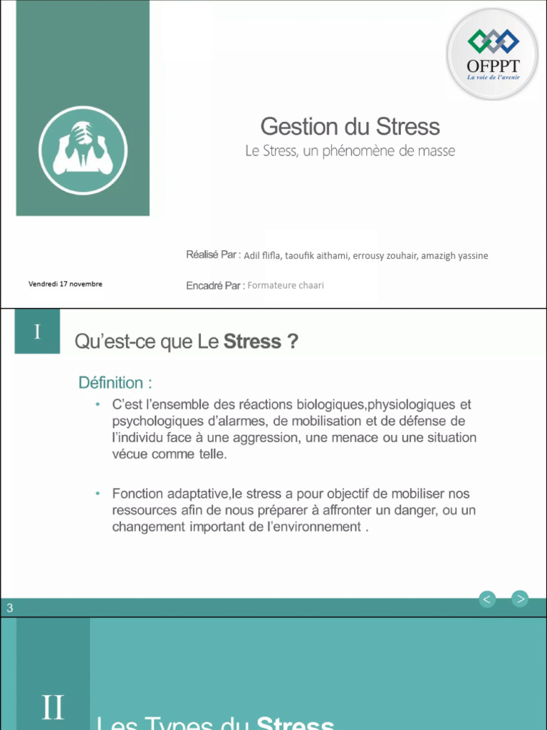La Gestion Du Stress | PDF