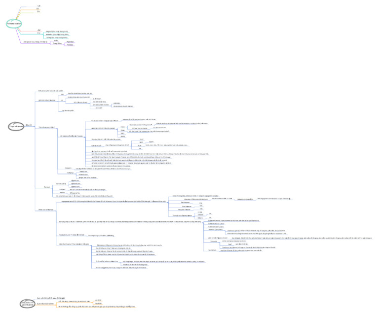 Im - B3 - Influencer Research | PDF
