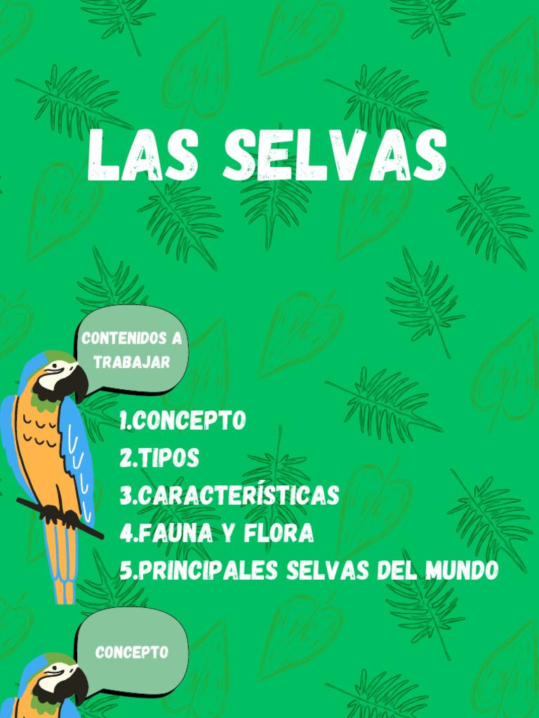 Principales Selvas y su Flora | PDF