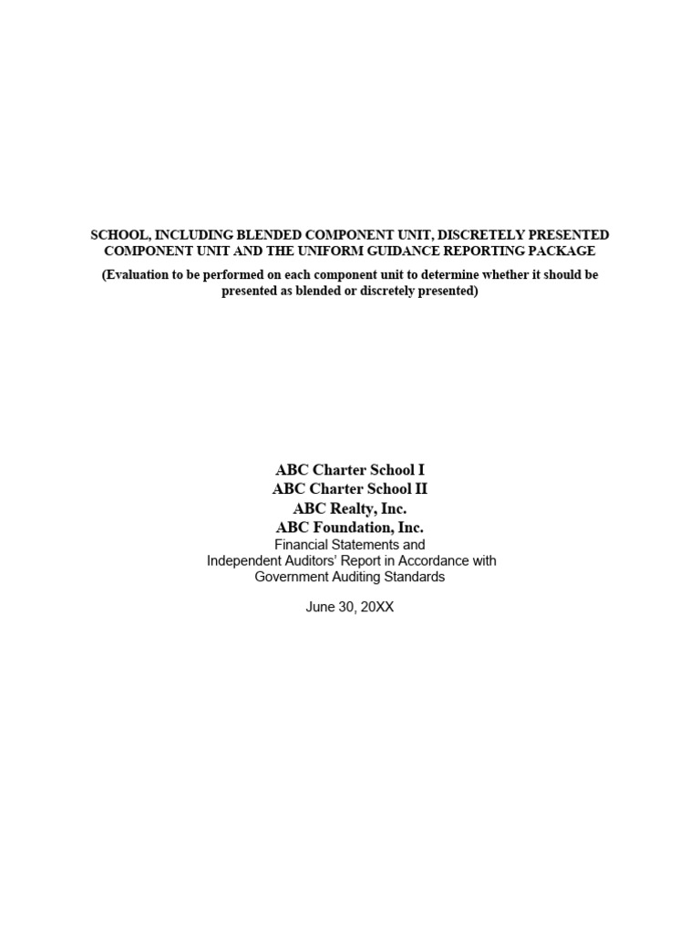 Sample-Network | PDF | Audit | Financial Audit