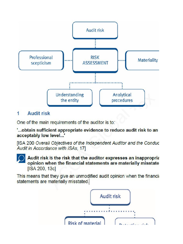 Risk & Plan s23 | PDF | Audit | Going Concern
