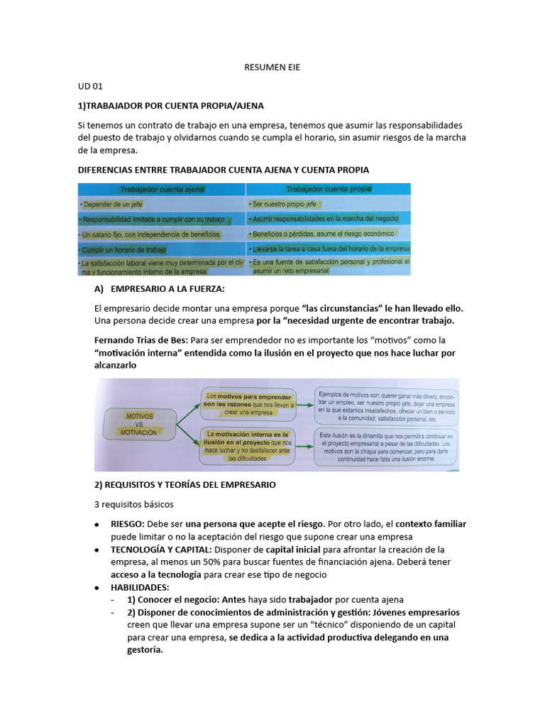 Resumen Eie | PDF | Mercado (economía) | Iniciativa empresarial