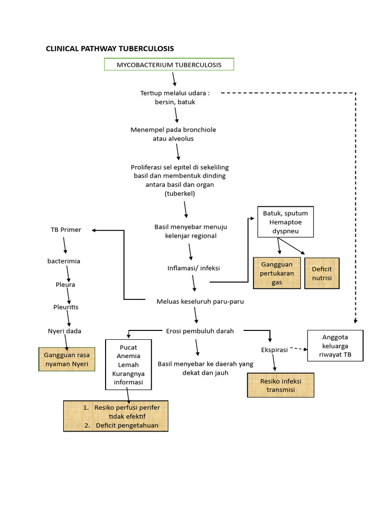 Clinical Pathway Tuberculosis | PDF