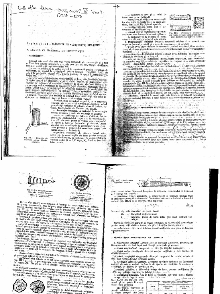 Constructii Lemn - Carte | PDF