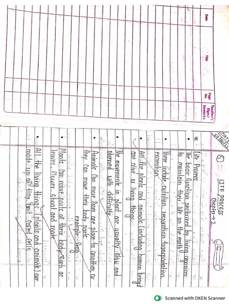Life Process Notes by Neeraj | PDF