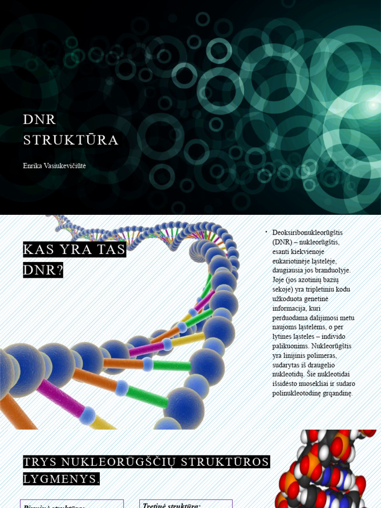 DNR Struktura | PDF