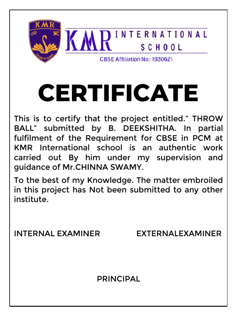 Throwball PT Project | Download Free PDF | Team Sports | Ball Games