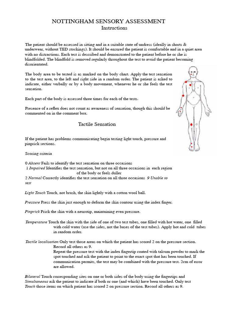Nottingham Sensory Assessment Guide | PDF | Senses | Somatosensory System