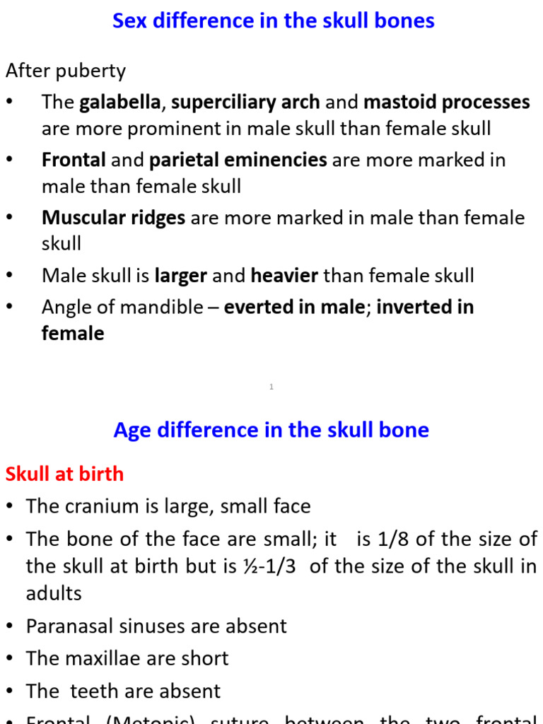 4 Scalp | PDF | Skull | Musculoskeletal System