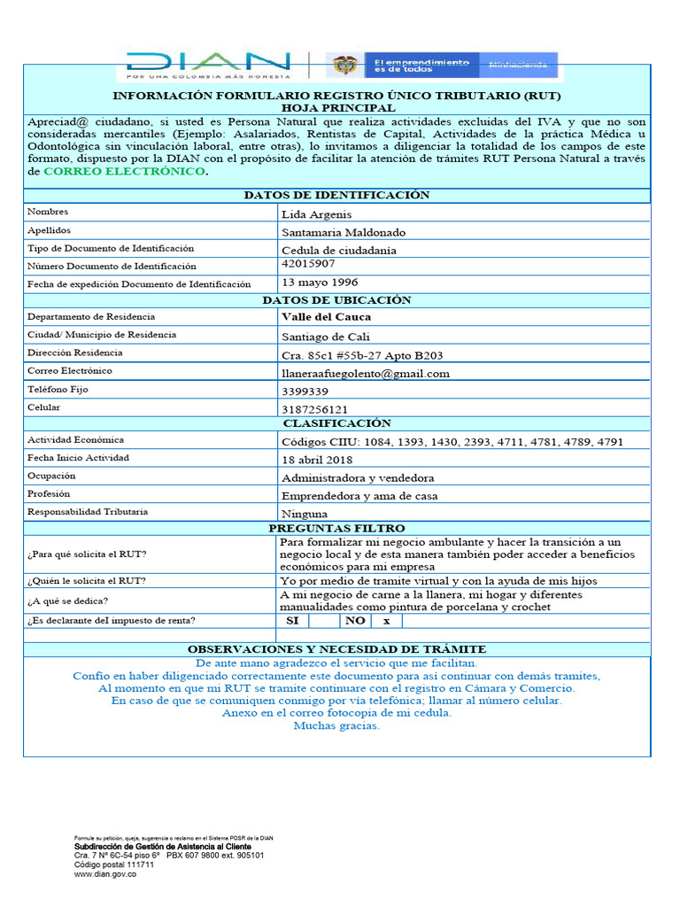 Guía para Solicitar RUT Persona Natural | PDF | Finanzas y dinero