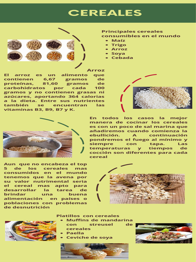 Infografia de Cereales | PDF