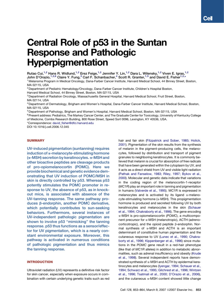 Central Role of p53 in The Suntan Response and Pathologic Hyperpigmentation 2006 | PDF | Self ...