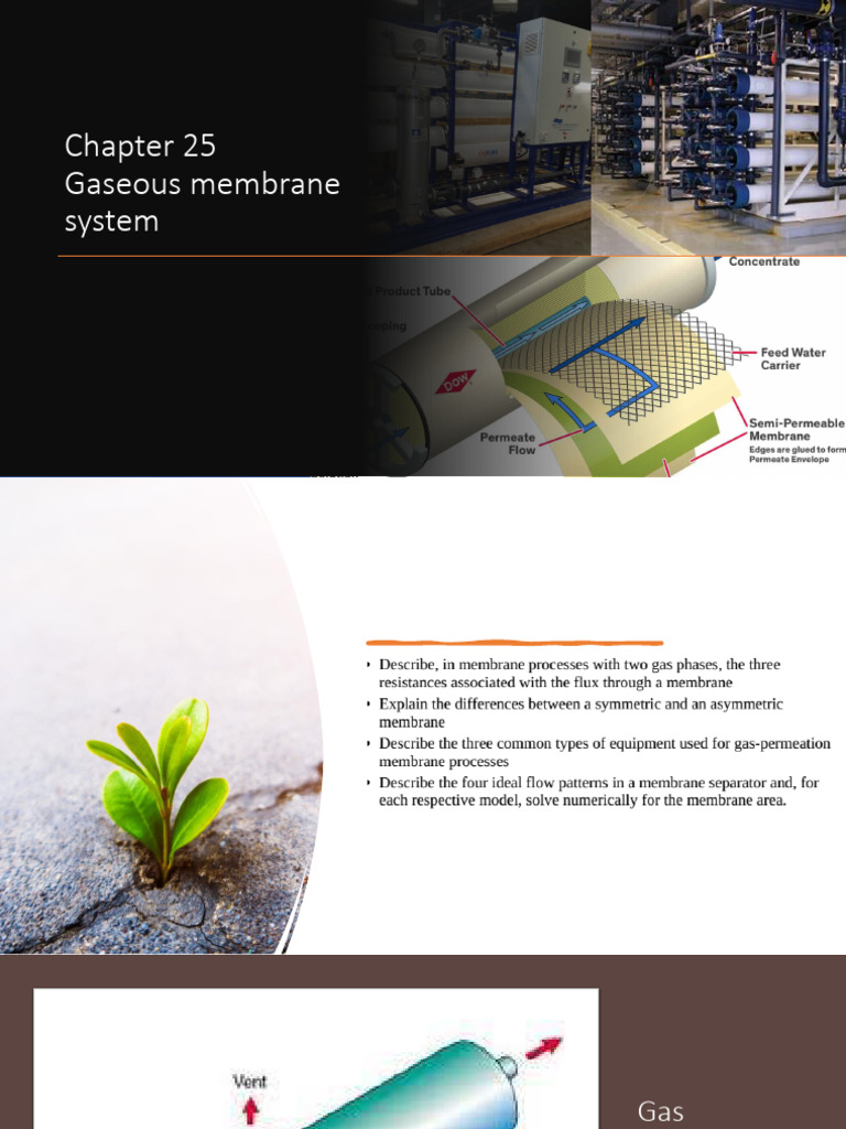 Chapter 25-Gaseous Membrane system | PDF | Equations | Membrane