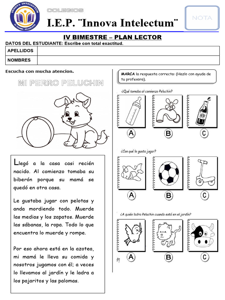 Exmen Plan Lector IV | PDF