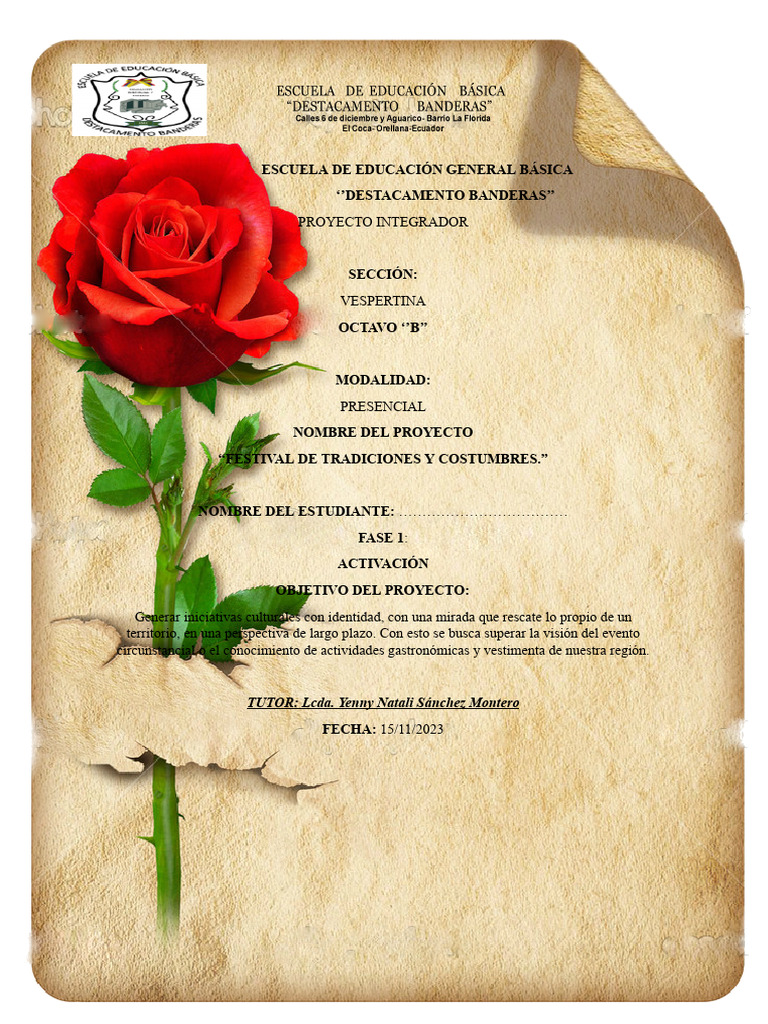 Proyecto Octavo | PDF