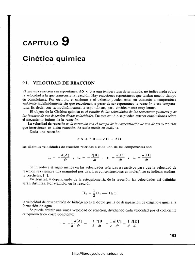 Cinética Química Teoría Y Ejercicios Resueltos I Pdf
