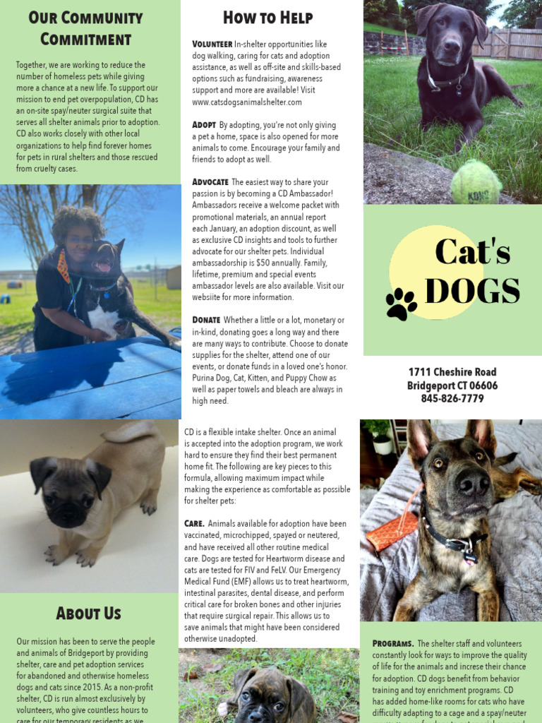 Brochure | PDF | Animal Welfare | Animals And Humans