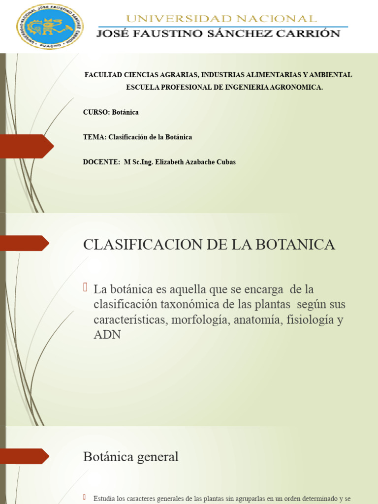 Clasificación y Ramas de la Botánica | PDF | Botánica | Plantas