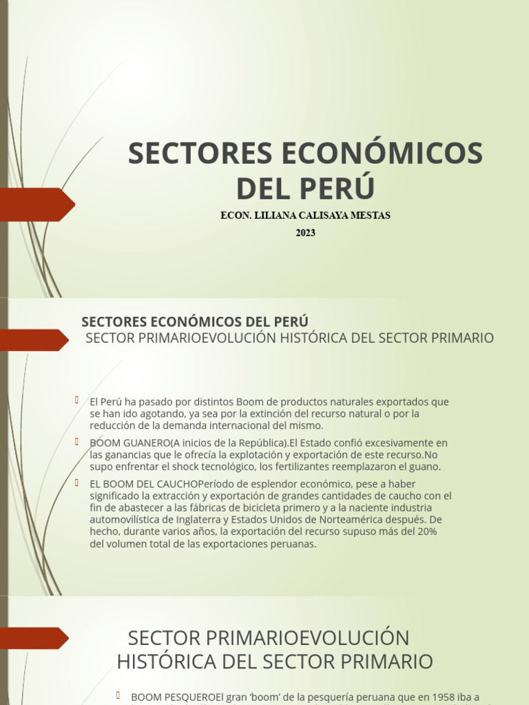 Sectores Económicos Del Perú | Descargar gratis PDF | Perú | Producto ...