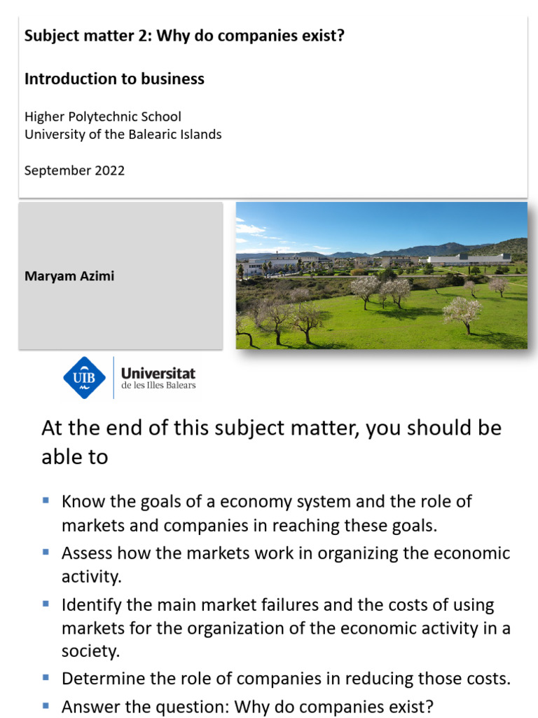 SM 2 Why Do Companies Exist | PDF | Externality | Market (Economics)