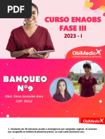 Efecto Poseiro | PDF | Placenta | Feto