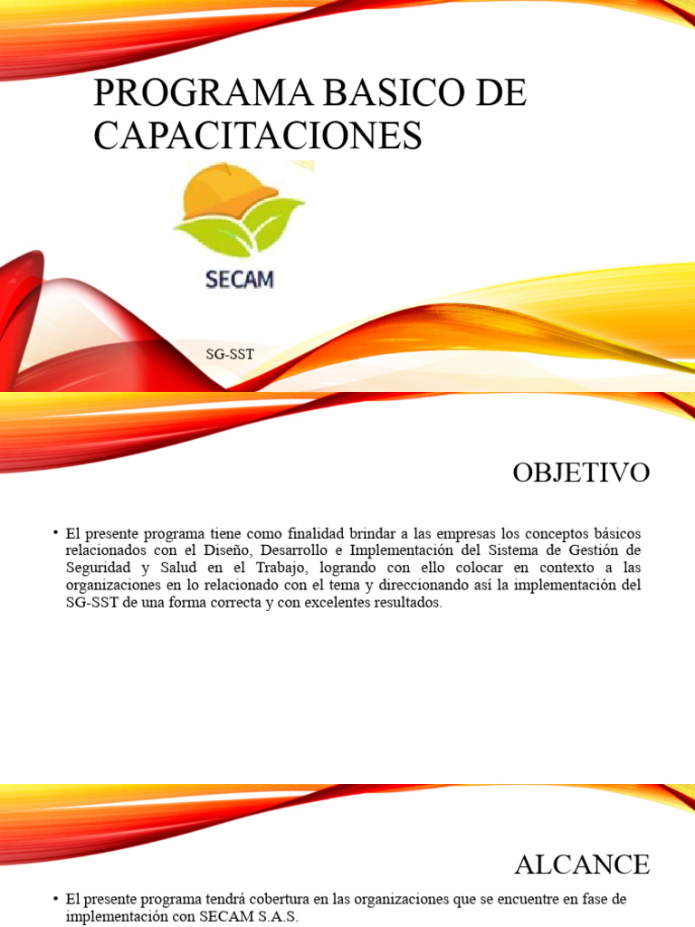 Programa Basico de Capacitaciones | PDF