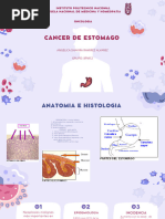 ESÒFAGO (Anatomía, Embriología, Histología y Fisiología) | PDF ...