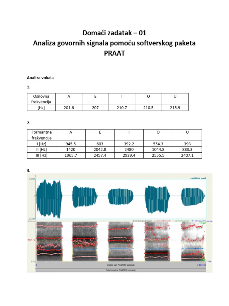 Marija Radojkic | PDF