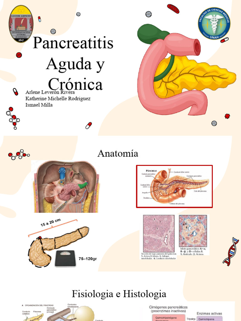 Pancreatitis aguda y crónica | PDF | Páncreas | Órgano (anatomía)