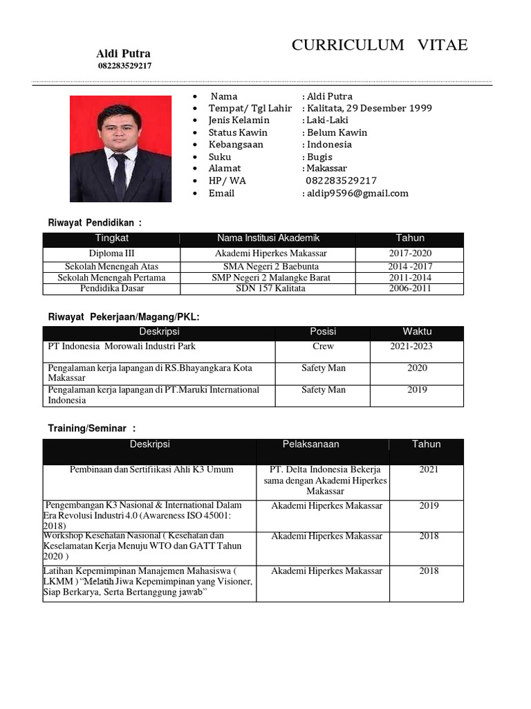 CV Baru Aldi Putra | PDF
