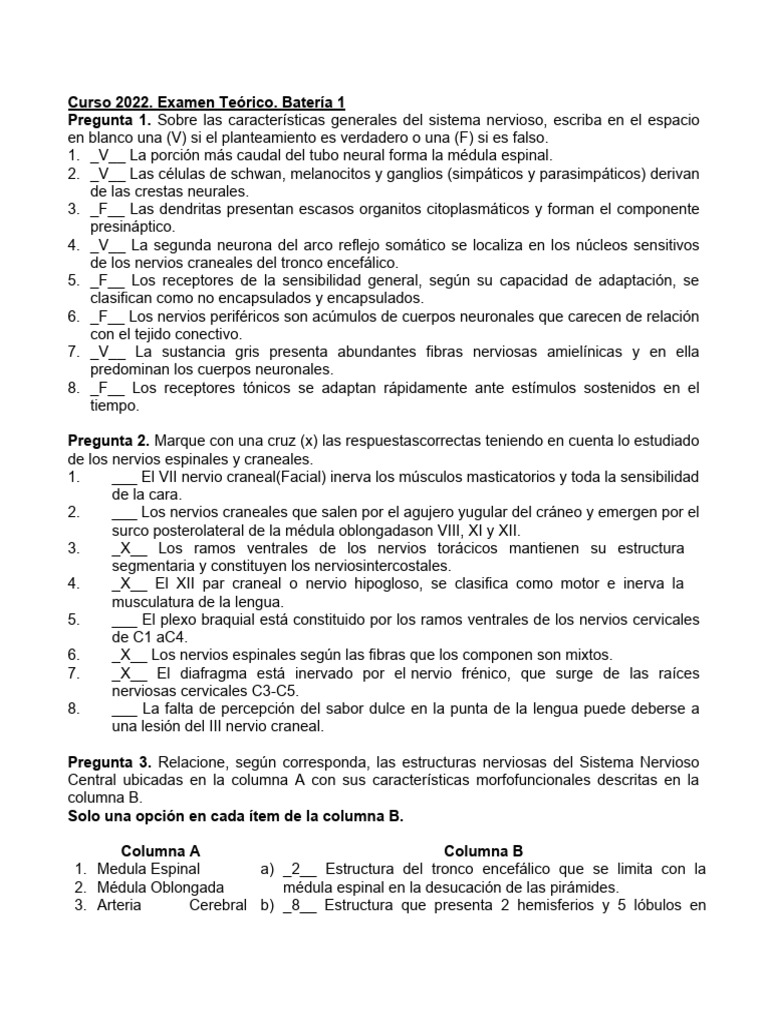 Pruebas Acomodadas de Morfo | PDF | Ojo humano | Cerebelo