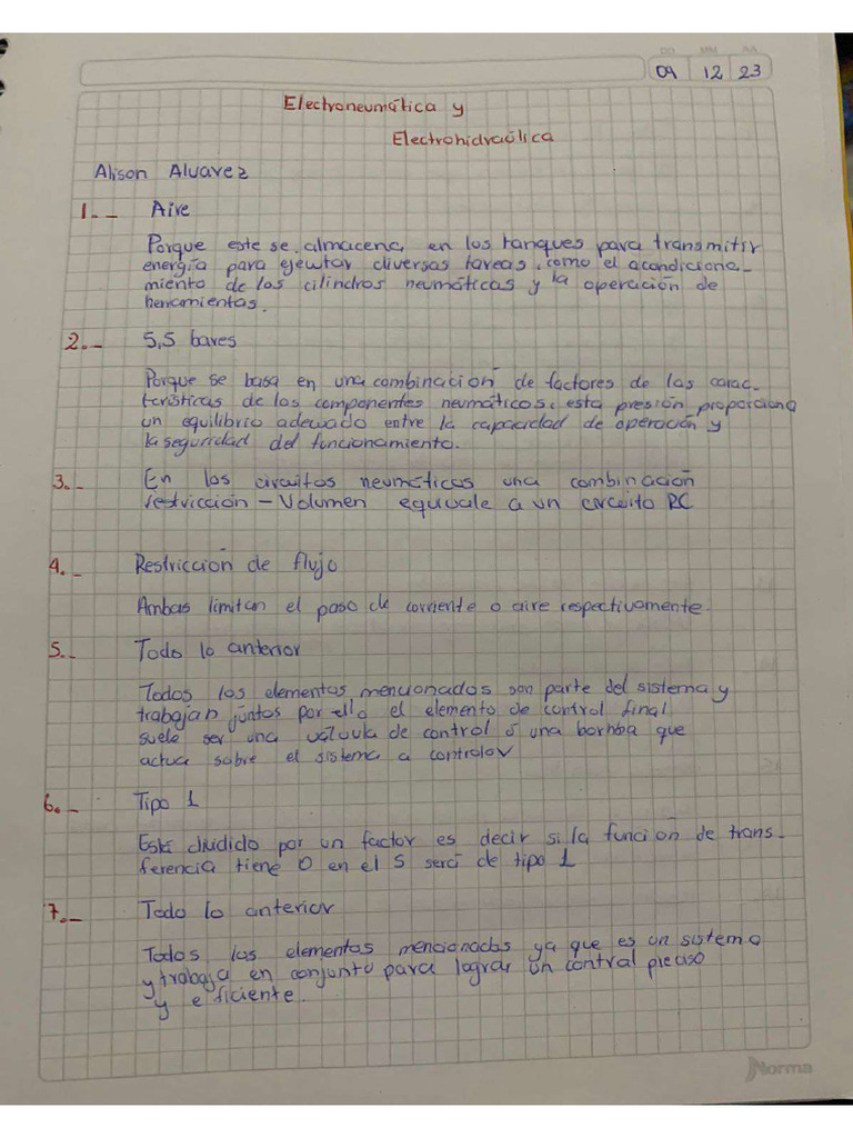 Quiz Alvarez Alison | PDF