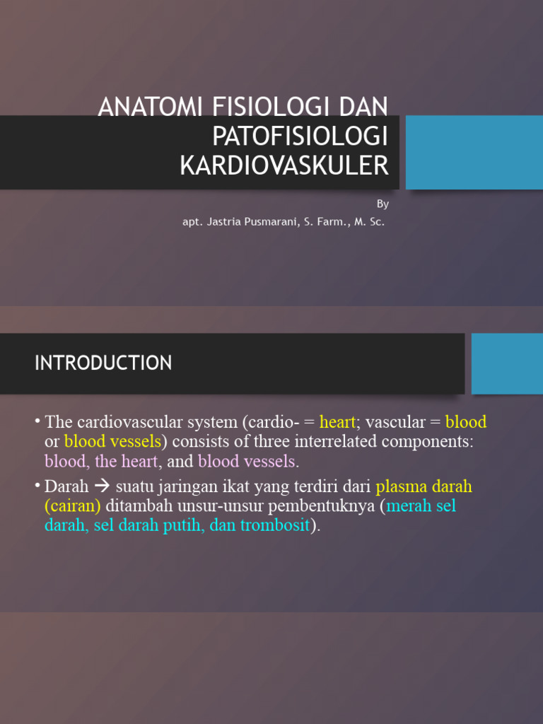 Anatomi Fisiologi Dan Patofisiologi Kardiovaskuler | PDF | Blood | Red Blood Cell