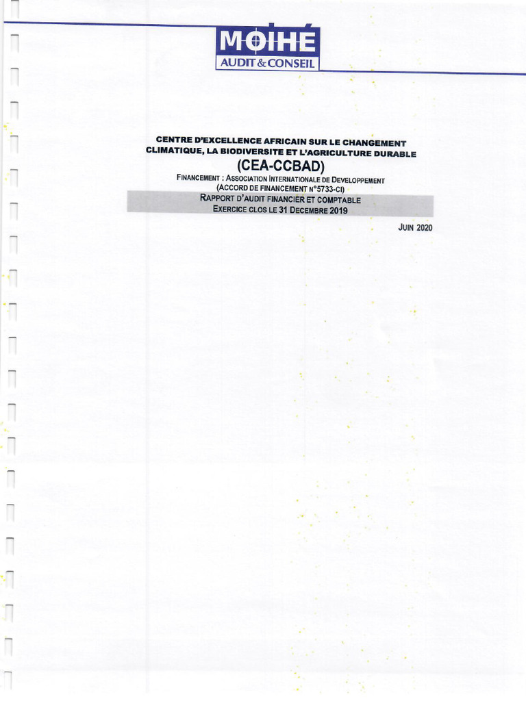 Rapport Audit Financier 2019 | PDF