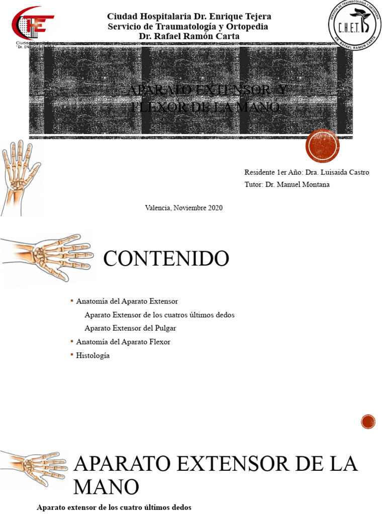 Aparato Extensor y Flexor de Mano | PDF | Mano | Músculo esquelético