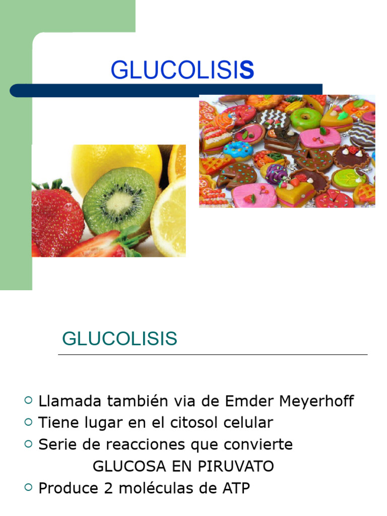 METABOLISMO DE HdeC II | PDF | Diabetes | Glucólisis
