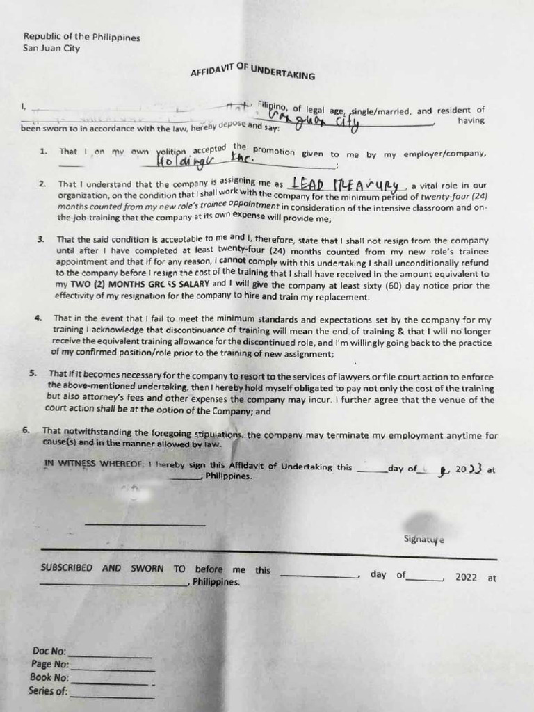Undertaking Form Sample | PDF