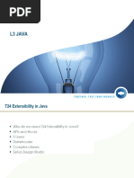 IRIS R18 User Guide PDF | PDF | Application Server | Application Programming Interface