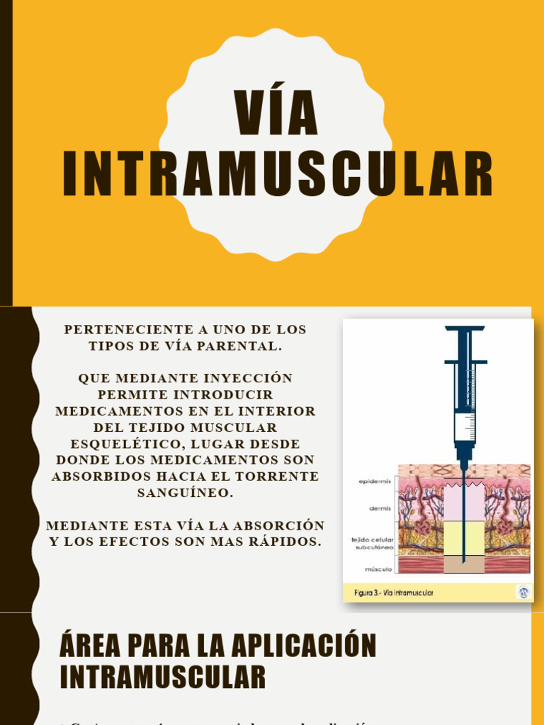 Vía Intramuscular | PDF