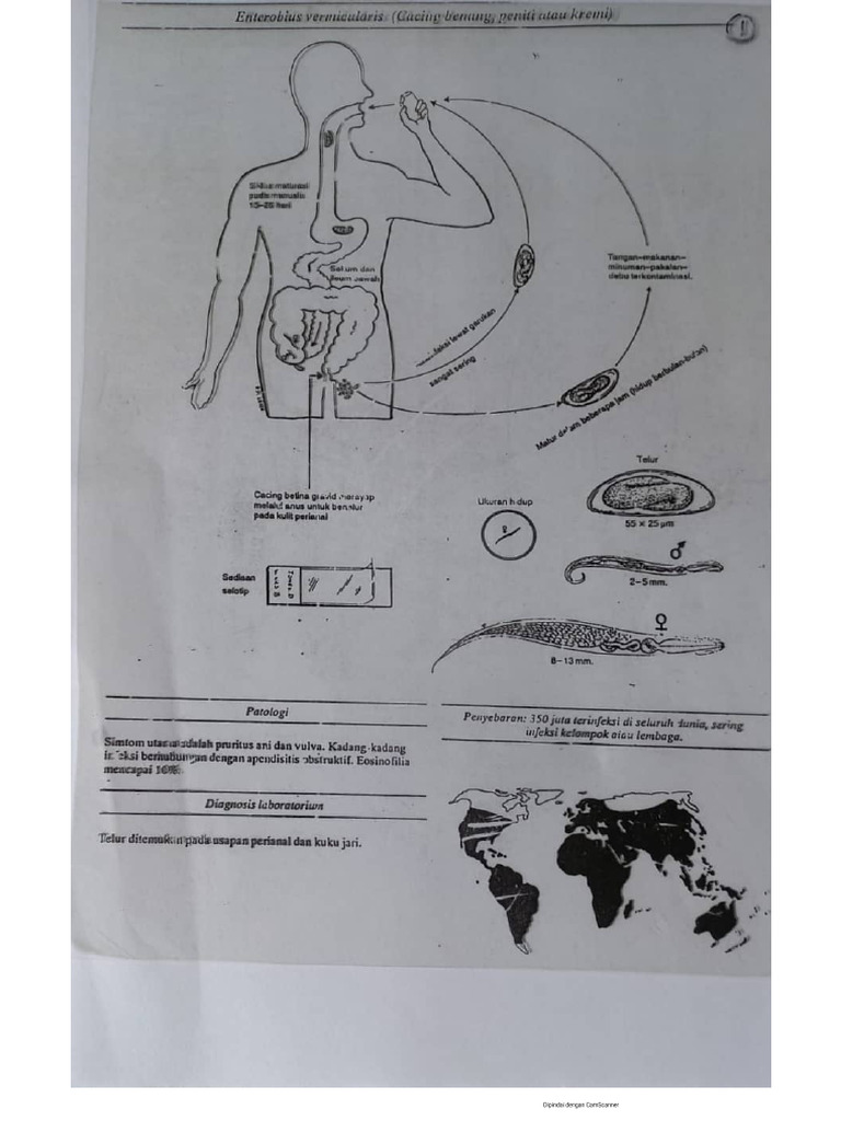 Pertemuan Ke 4, NON STH | PDF