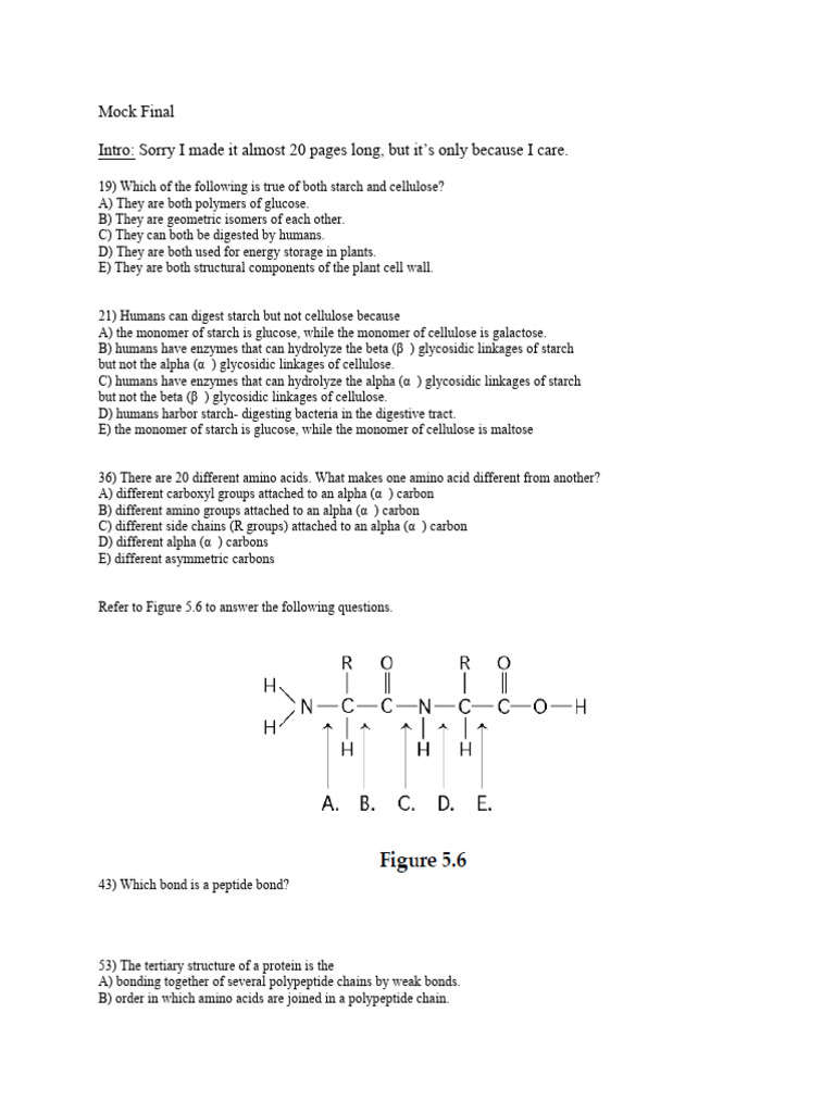 Mock Final | PDF | Adenosine Triphosphate | Antigen Mock Final | PDF | Adenosine Triphosphate | Antigen