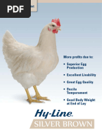 Hy-Line Brown Management Guide 2024 | PDF | Nutrition | Diet & Nutrition