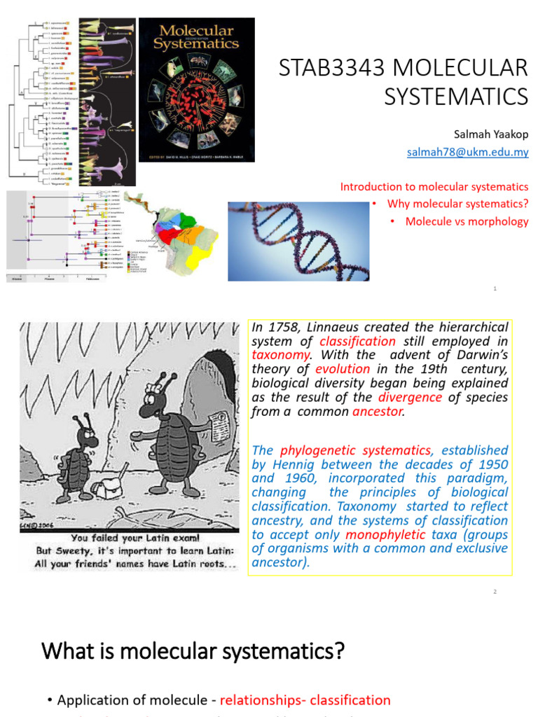 Molecular Systematic Lecture 1 | PDF | Molecular Phylogenetics | Taxonomy (Biology)